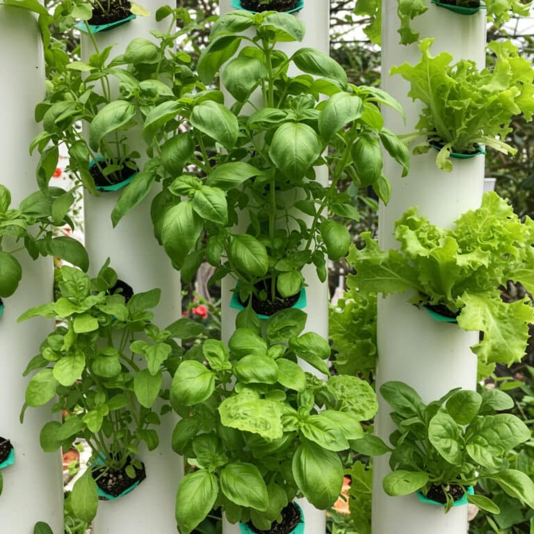 DIY Hydroponic Vertical Garden: Indoor & Outdoor Setups (Step-by-Step)
